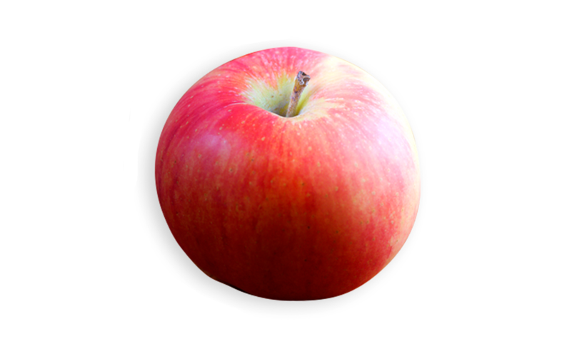 Welke appels voor appeltaart? - Koopmans.com