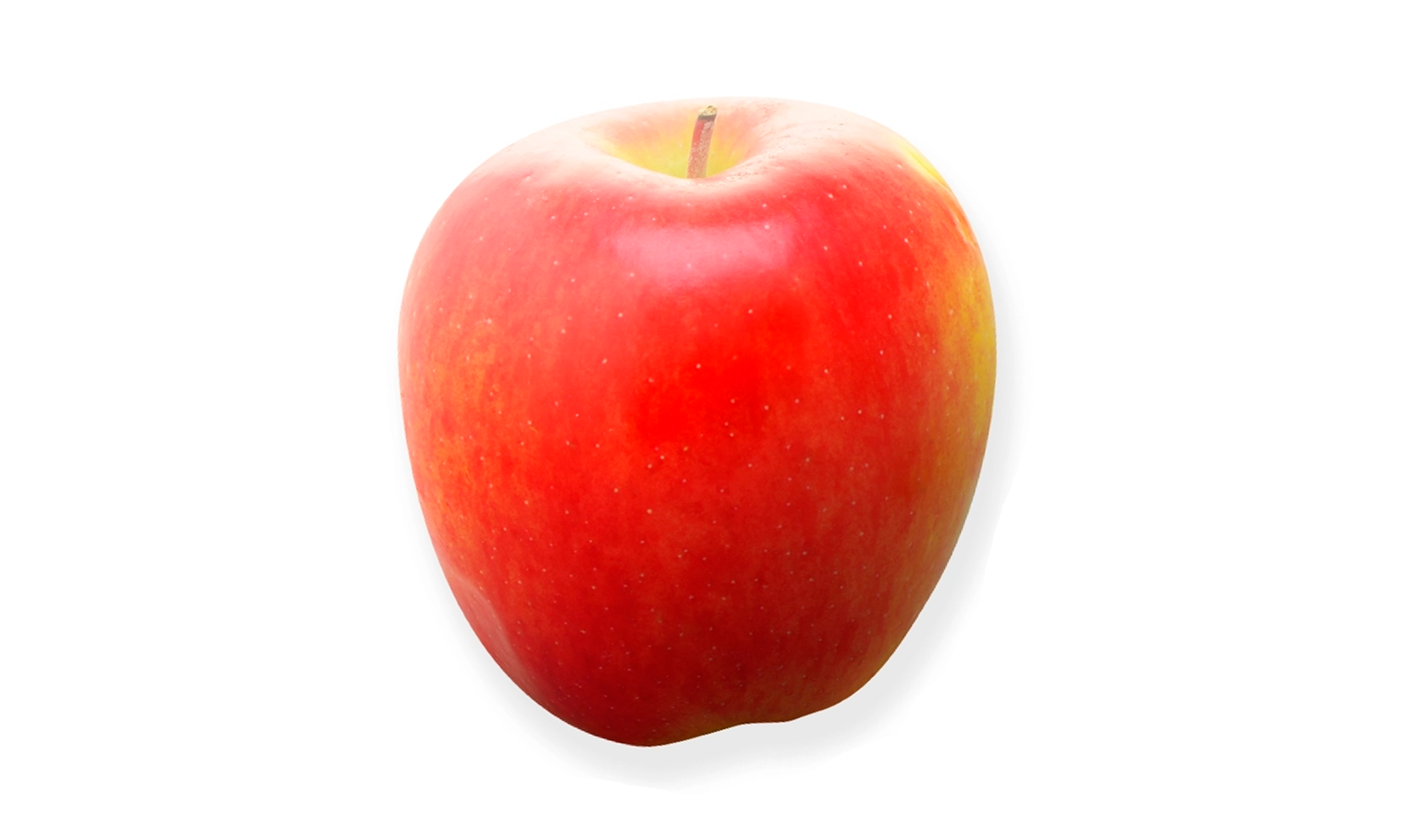 Welke appels voor appeltaart? - Koopmans.com